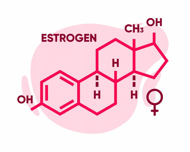 estrogen molecule